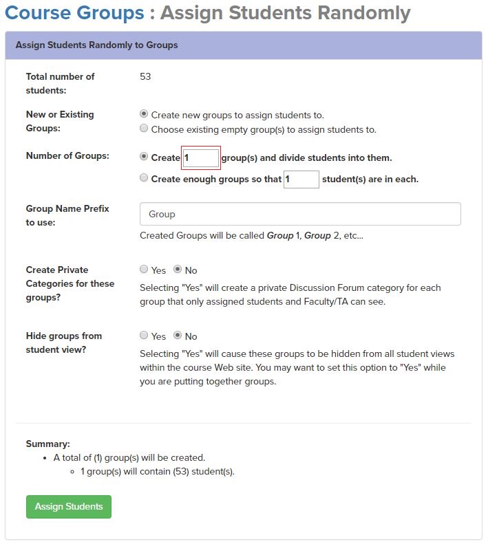 Randomized Group Creation CTL Help